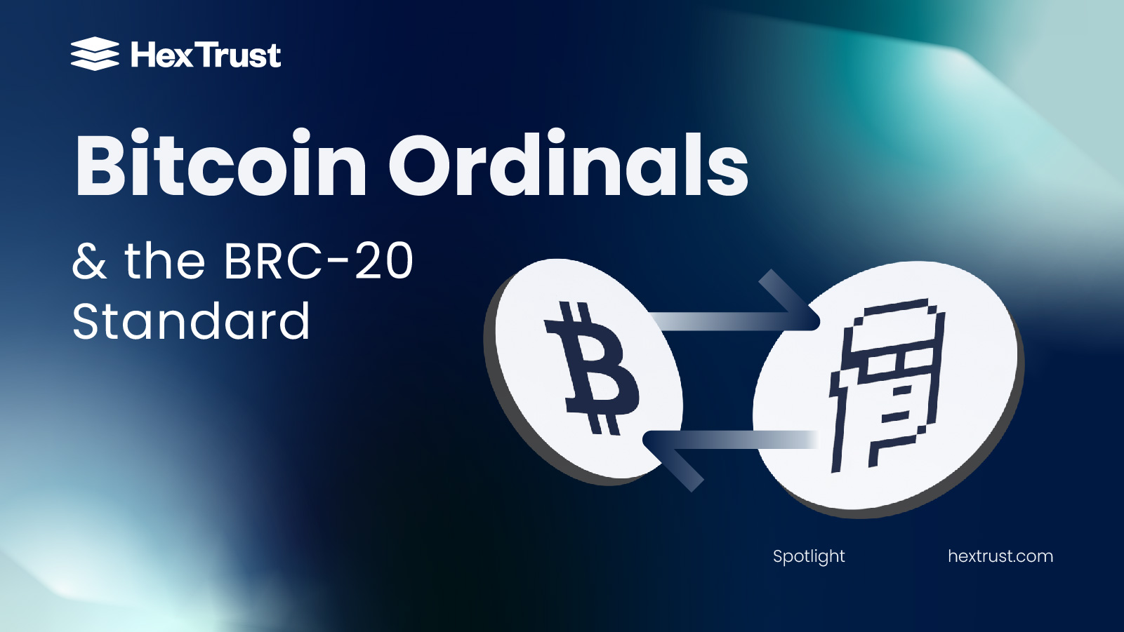 Bitcoin Ordinals & the BRC-20 Standard | Hex Trust